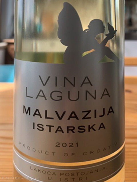 Explore Istria Wine: Grapes & More | Old Town Explorer