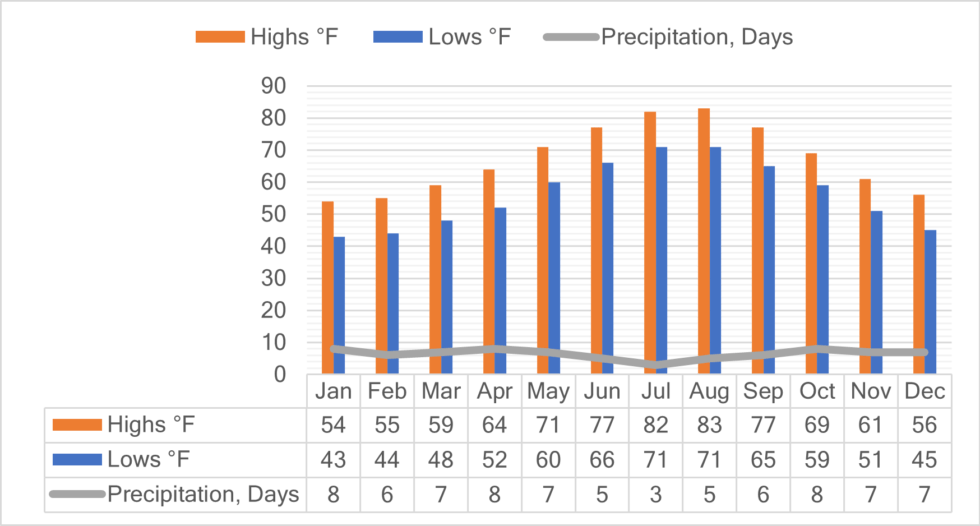 Explore Genoa: Food, Wine & Architecture | Old Town Explorer
